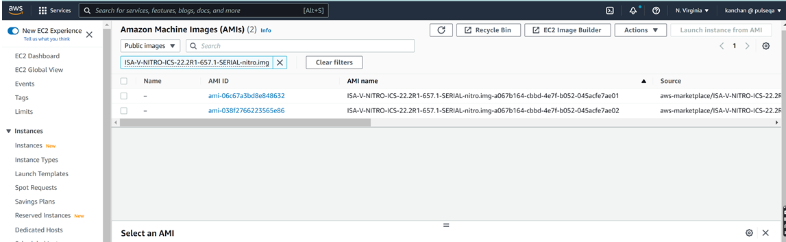 Custom Ivanti Connect Secure Deployment on AWS Portal